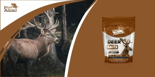 Comment choisir le meilleur attractif pour cerf et chevreuil ? – Hunt ... Comment choisir le meilleur attractif pour cerf et chevreuil ? – Hunt ...